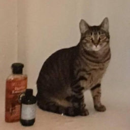 CounterClock | Season Two - Counterclock Podcast